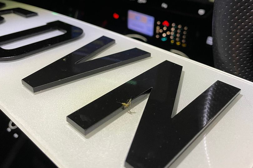 Surrey Police Warn Against illegal 4D Licence Plates Marshall Minibus surrey-police-warn-against-illegal-4d-licence-plates-marshall-minibus